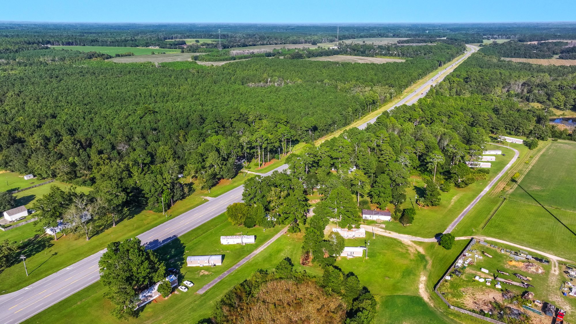 Pine Terrace - Lasso