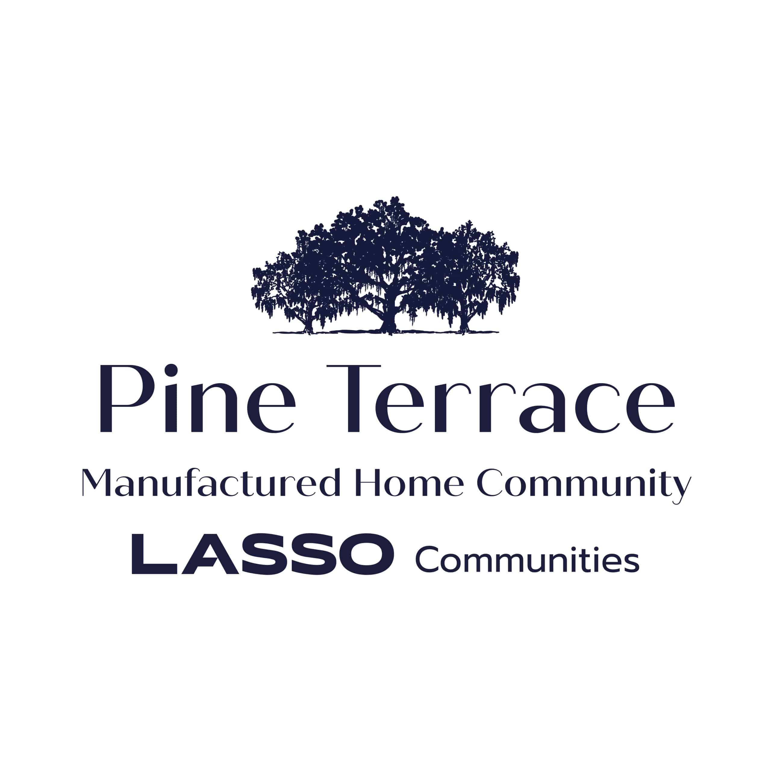 Pine Terrace - Lasso
